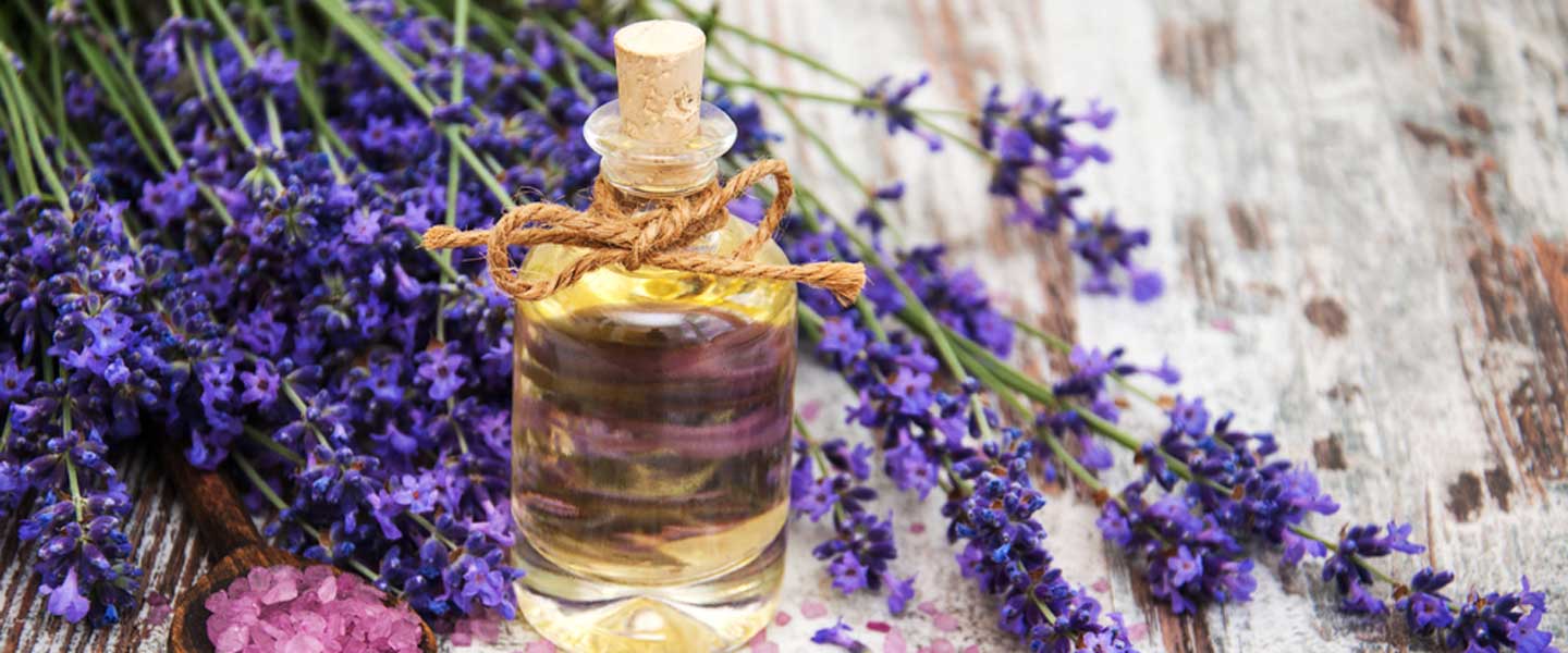 AROMATERAPİ NEDİR? - Dr. Ebru Aydın